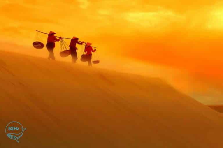 Đồi Cát Đỏ - Trải Nghiệm Mới Lạ Tựa Sa Mạc Giữa Mũi Né